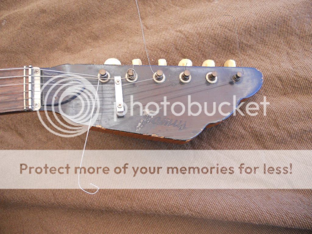 NGD Framus 5/155 Apollo - OffsetGuitars.com