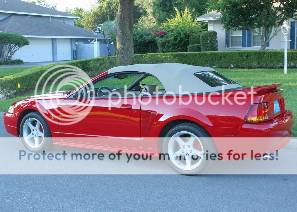 99 Mustang Cobra Convt Red0065_zpsjj5nnshb.jpg Photo by classicsllc6 ...